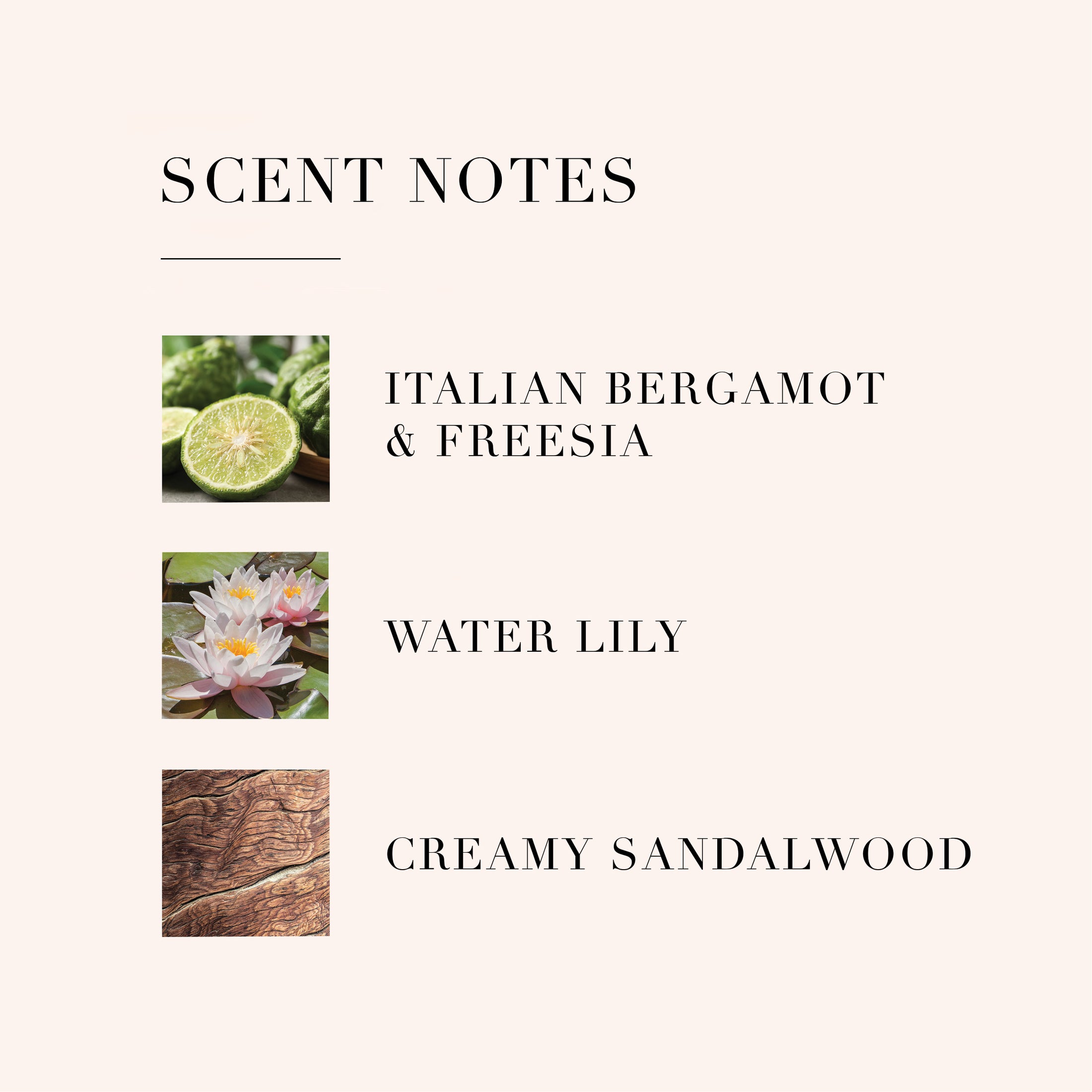 000 Perfume Oil | Roll-On Perfume Oil – Le Monde Gourmand