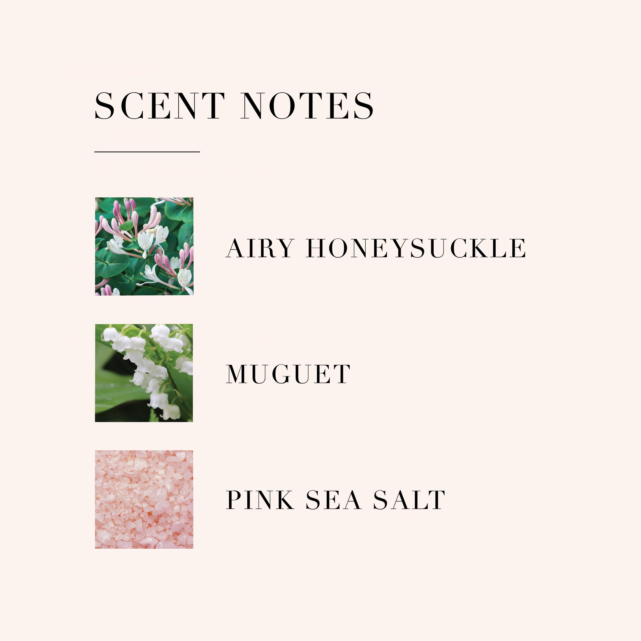 Sel Océan Hair & Body Mist | Pink Sea Salt Hair & Body Mist – Le Monde ...
